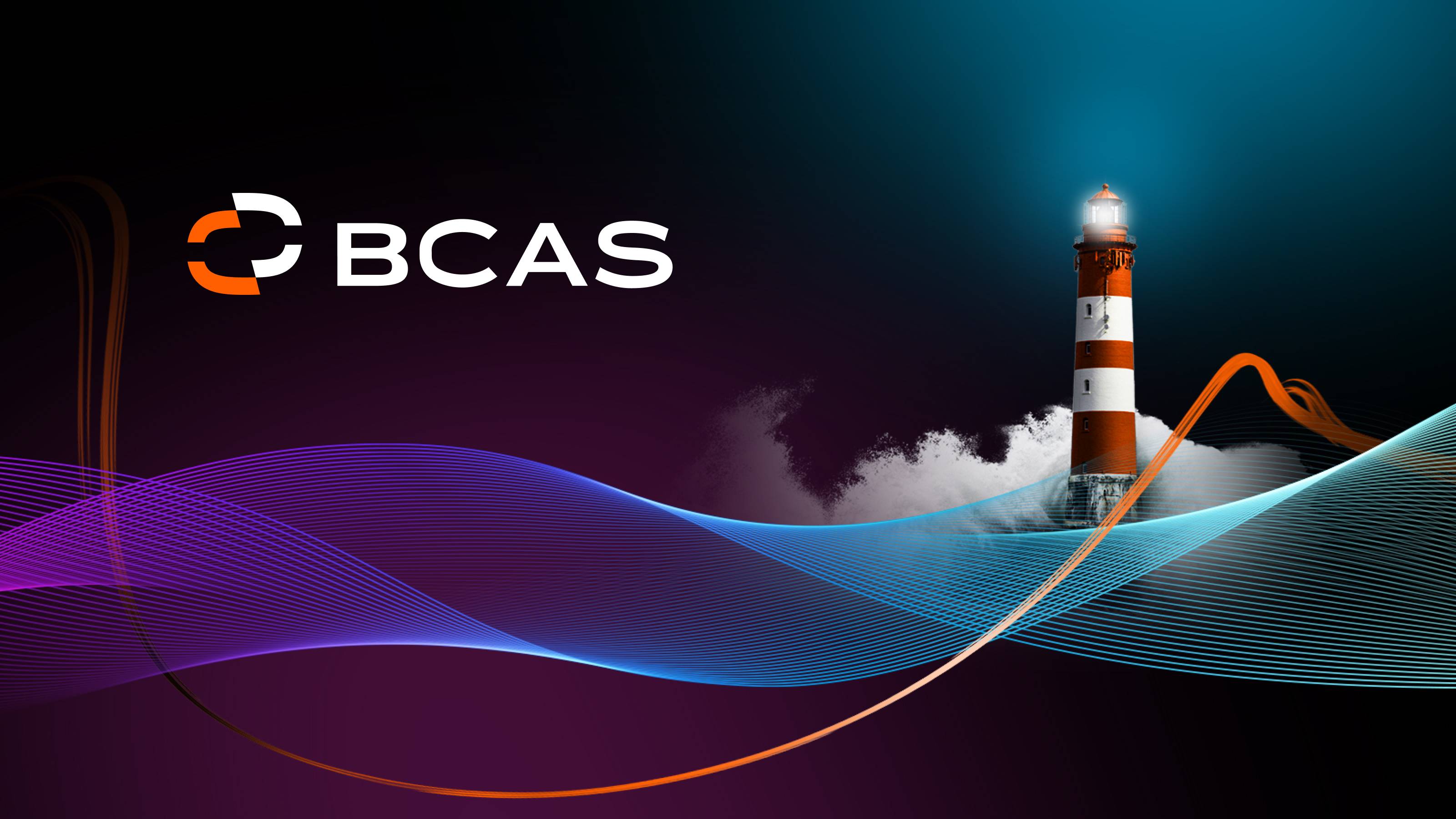 BCAS | Crypto Regulatory Advice